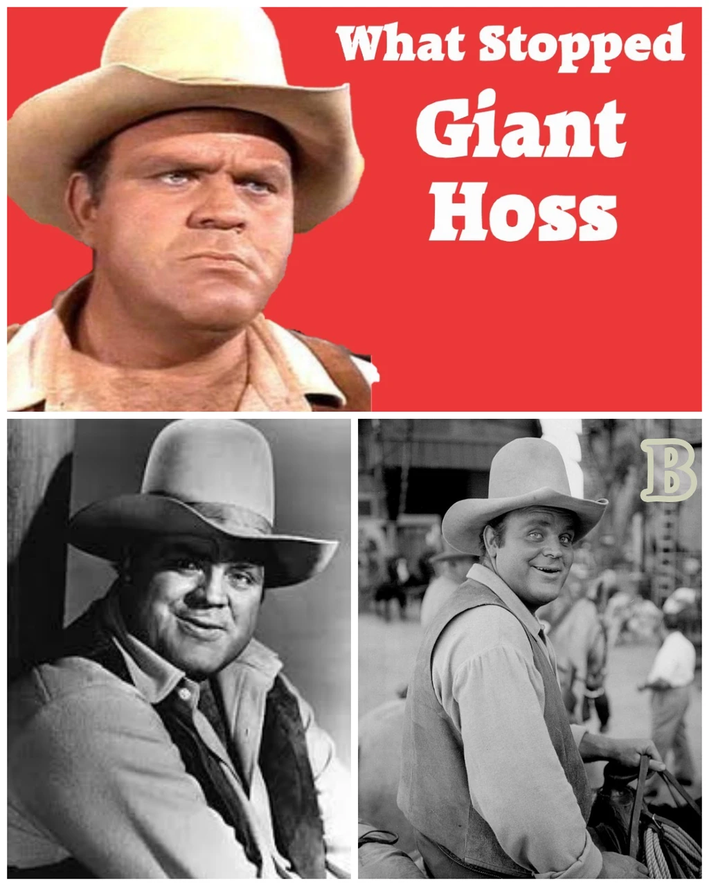 La vida real de Dan Blocker Hoss Cartwright Bonanza - News
