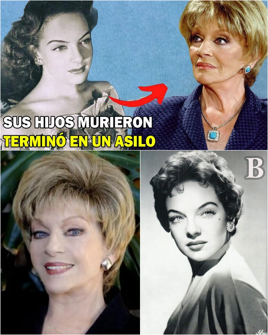 La Trágica Caída de Martha Roth: De Estrella de Televisión a Vivir en ...