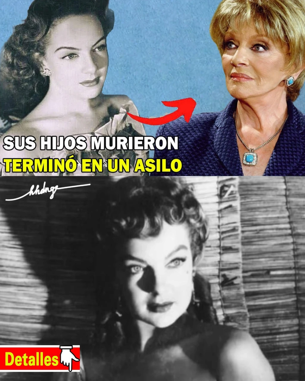 La Triste Historia de Martha Roth: Un Relato de Pérdida y Soledad - News