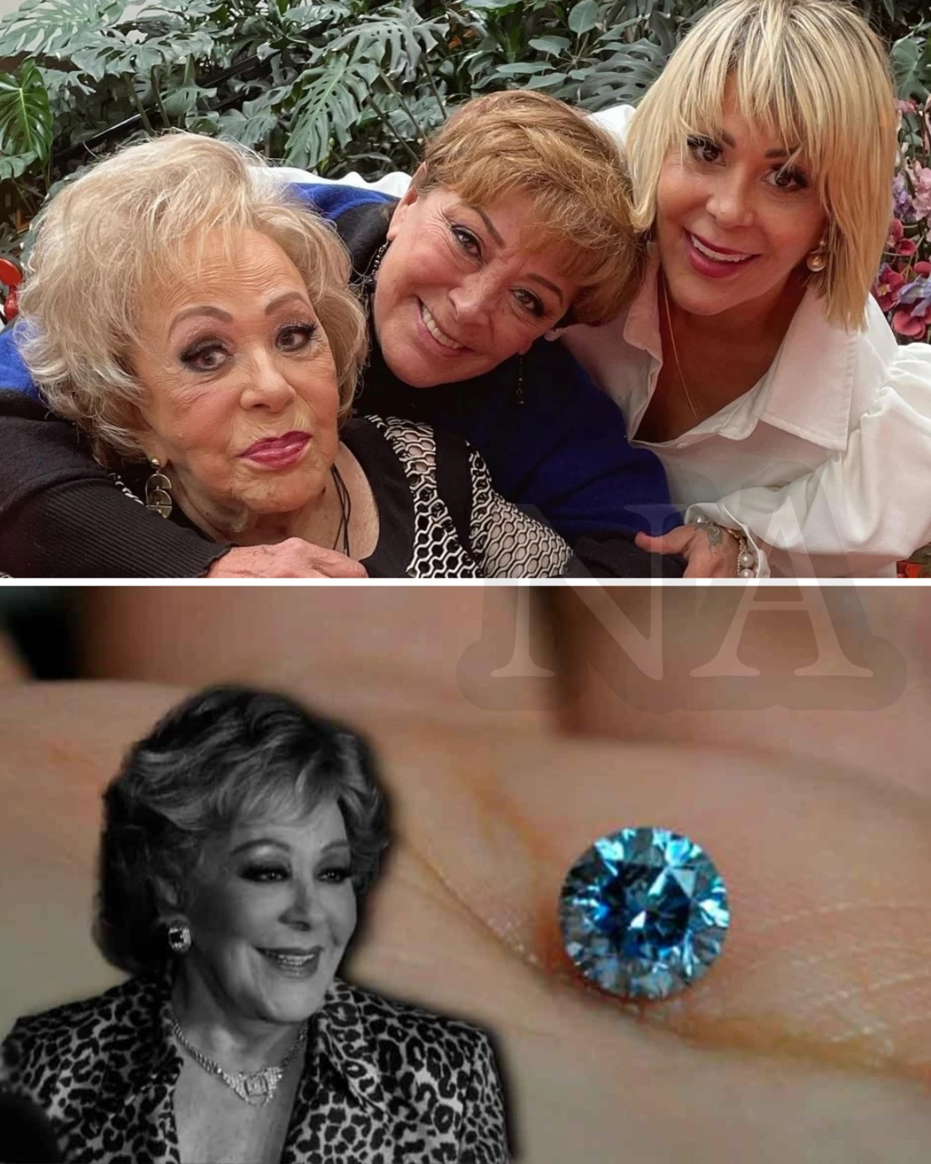 Silvia Pinal - SA - News