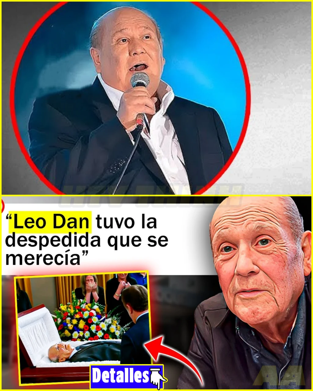 (b00) FINAL de LEO DAN - News