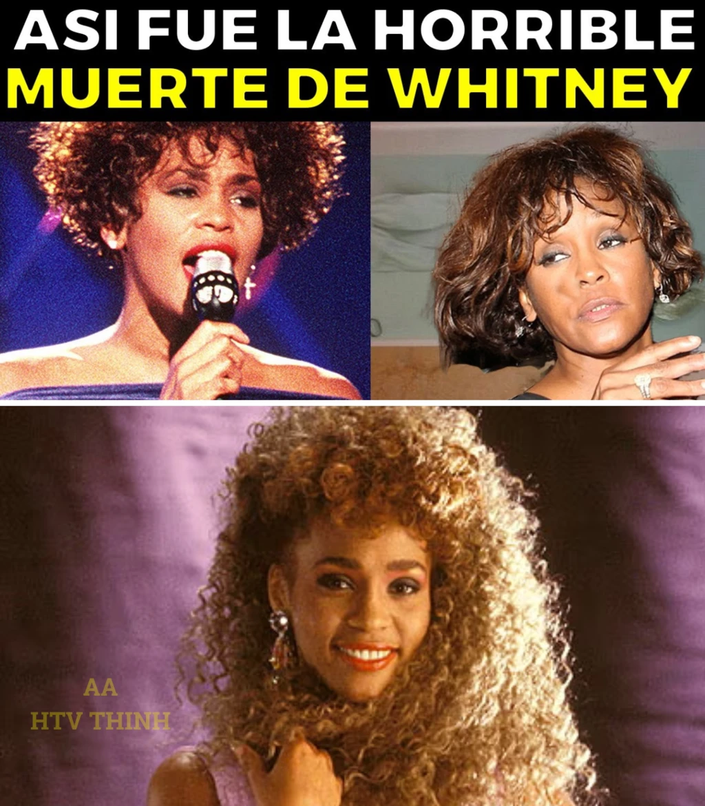 Así Fue la Trágica Y Legendaria Vida de WHITNEY HOUSTON - News