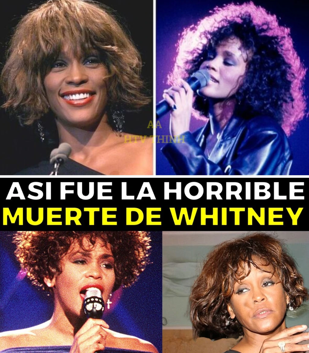 WHITNEY HOUSTON - News