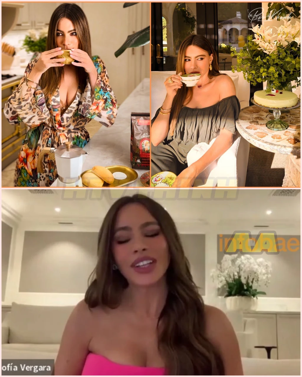 La estrategia explosiva de Sofía Vergara para destronar a Juan Valdez en el mercado mundial del ...