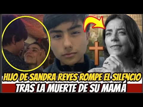 😢 Gerónimo, Hijo De Sandra Reyes, Rompió El Silencio Tras La Dolorosa ...