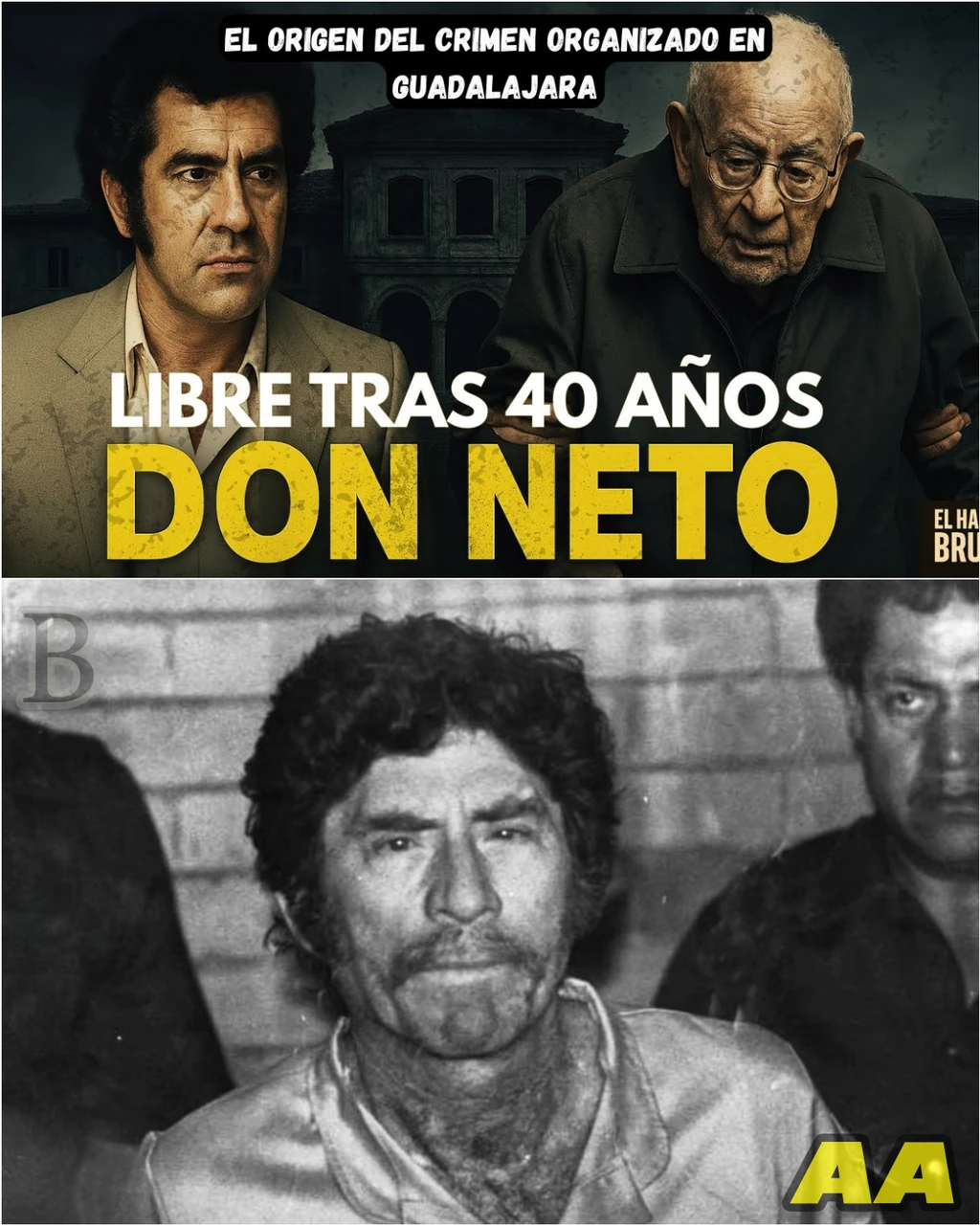 🚨👑 El último capo intocable: los secretos del legendario Don Neto, el ...