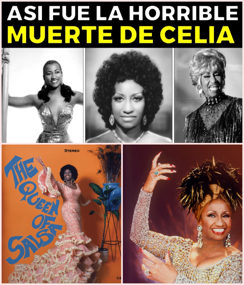 ¡La Verdadera Historia Detrás de la Reina de la Salsa: Celia Cruz y sus ...