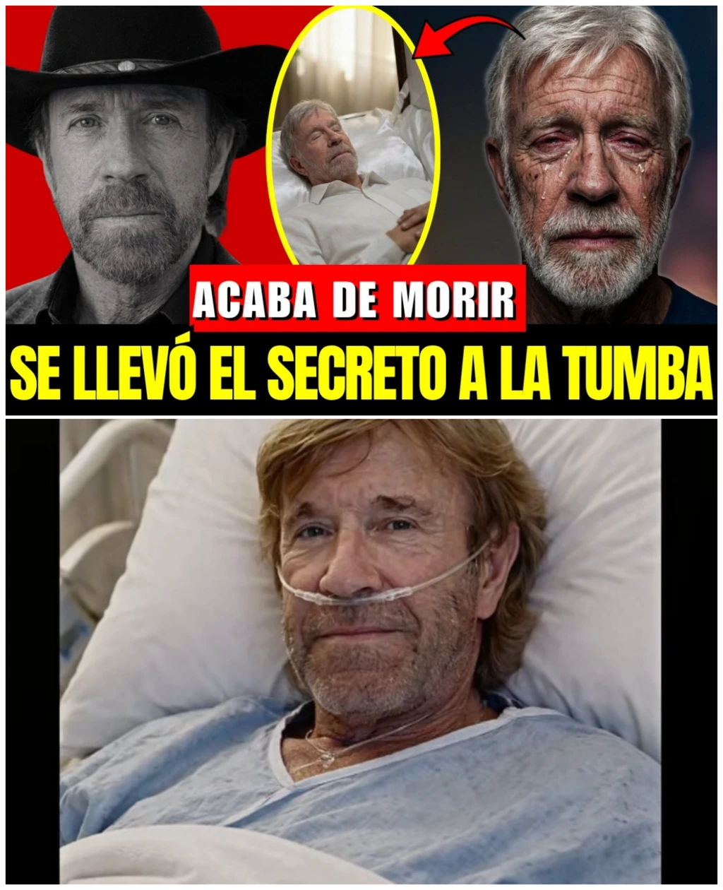 ¡CONMOCIÓN Y SOMBRAS! EL SUPUESTO ADIÓS DE CHUCK NORRIS A LOS 86 AÑOS ...