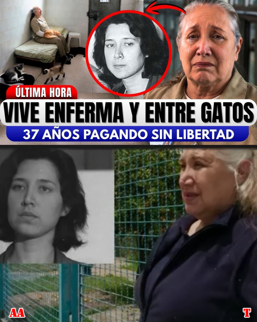 **Sara Aldrete, la Narcosatánica: la vida que transcurre entre rejas ...