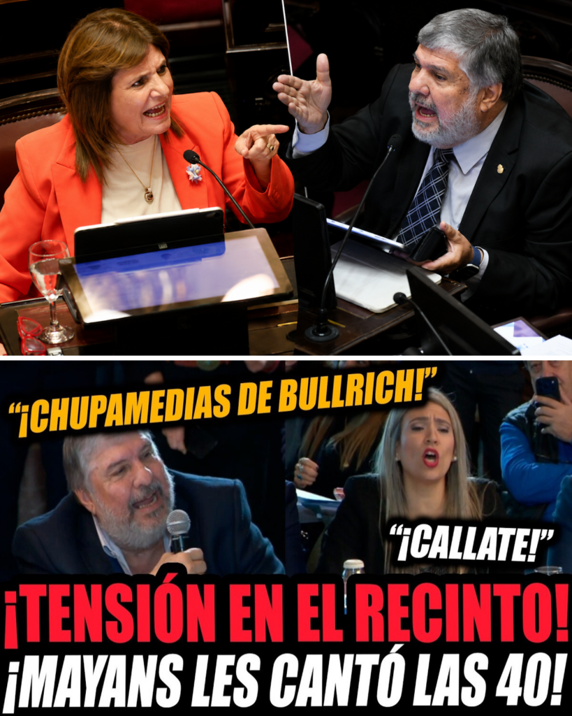 ¡MAYANS ESTALLÓ EN EL SENADO Y DEJÓ MUDOS A LOS DEFENSORES DE BULLRICH ...